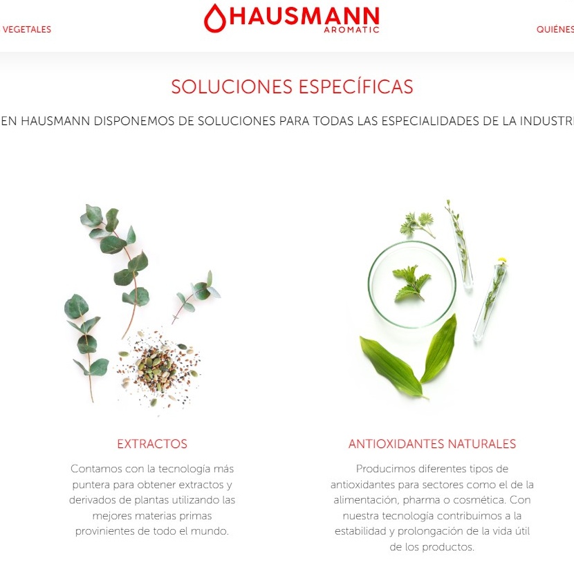 Victor Silvestre - Wordpress Developer